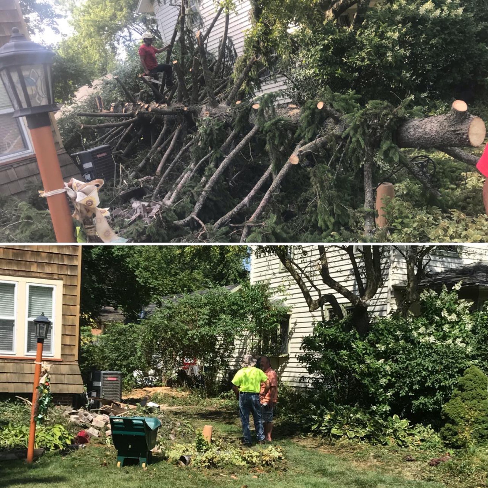 Reviews on EE Tree Service from Montgomery, Illinois are on Landscape ...
