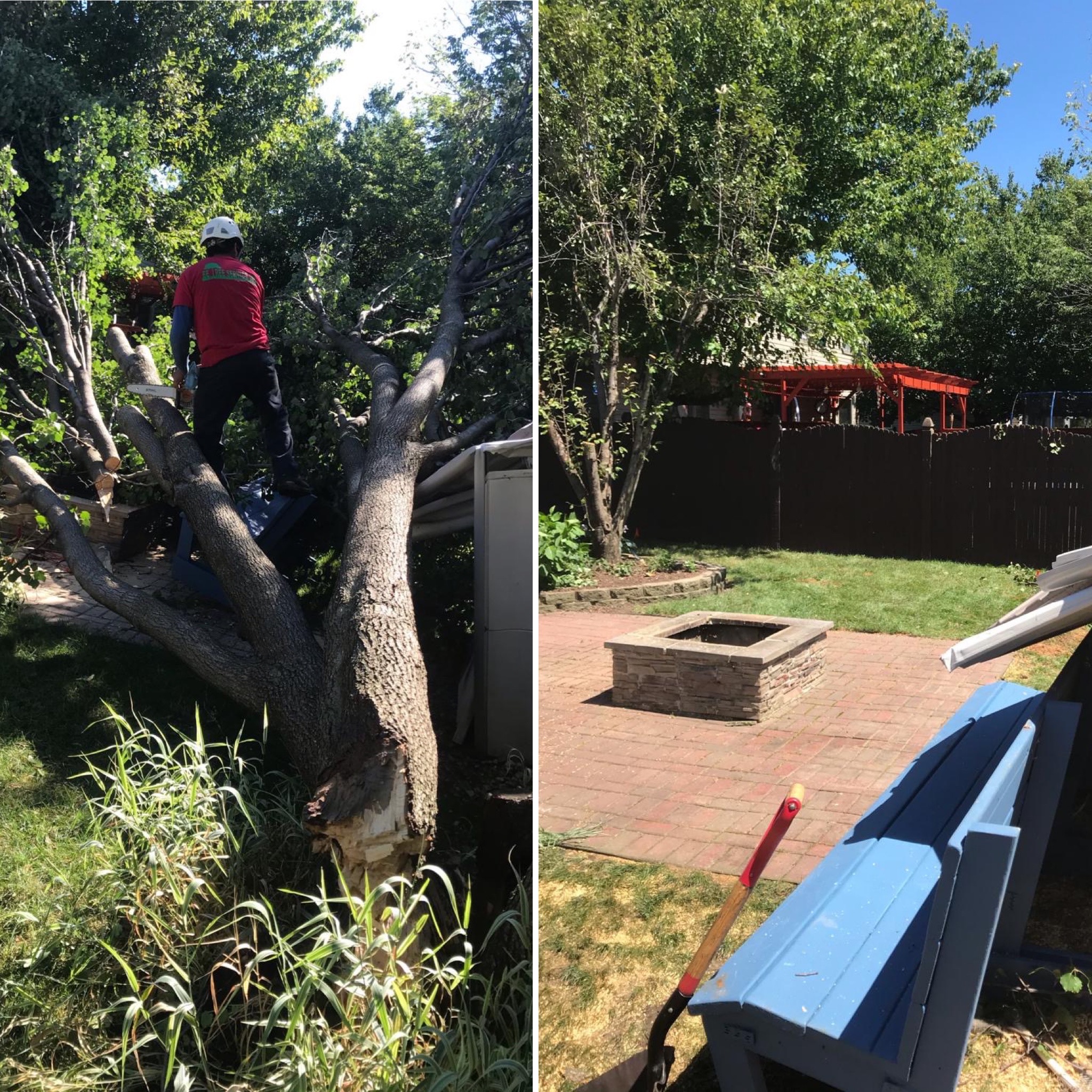 Reviews on EE Tree Service from Montgomery, Illinois are on Landscape ...