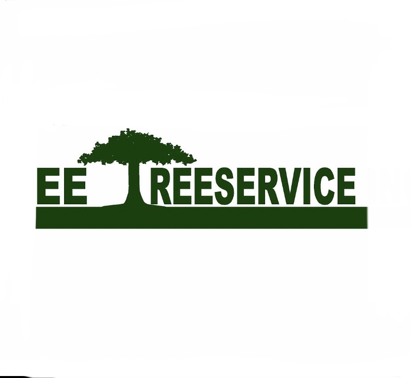Reviews on EE Tree Service from Montgomery, Illinois are on Landscape ...